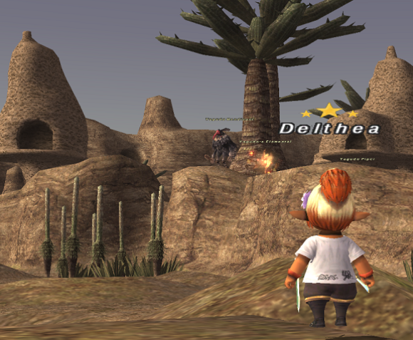 エミネンスレコードNM巡りの旅 ～Spiny Spipi～ : じゅえ的FFXIめも+FFXIV