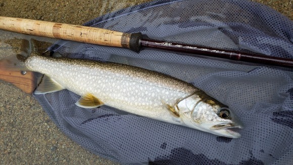 2020.07.11-12 中禅寺湖5/6。 : いつもいつでもフライフィッシング