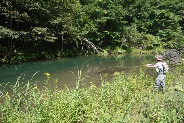 雨上がりの渓・・・茶マスの日 : Out of Bounds / 境界線の向へ！