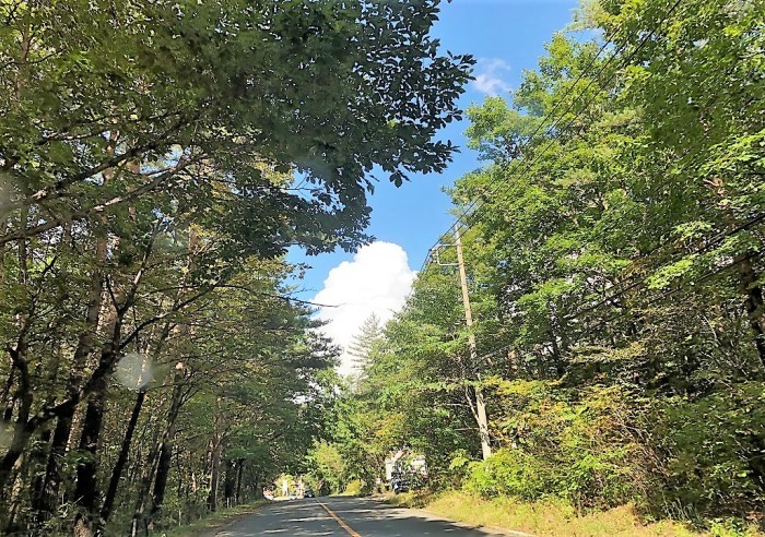 奥嬬恋温泉 ふる里の宿 千川旅館 花いち 宿泊記① : ずっとそばに