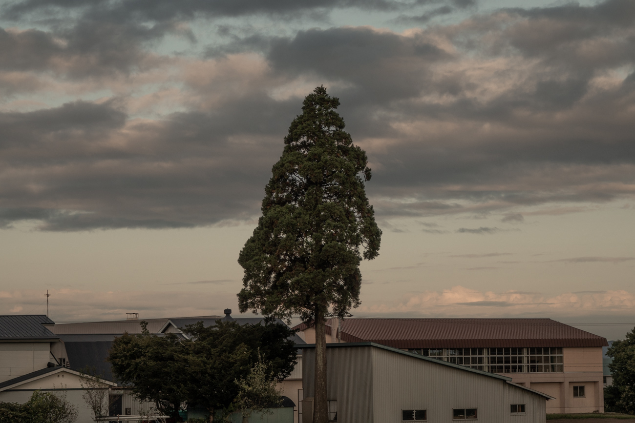 K-5】PENTAX DA☆16-50mm F2.8分解 : だいちゃんガレージ K-5】PENTAX DA☆16-50mm F2.8分解 : だいちゃんガレージ