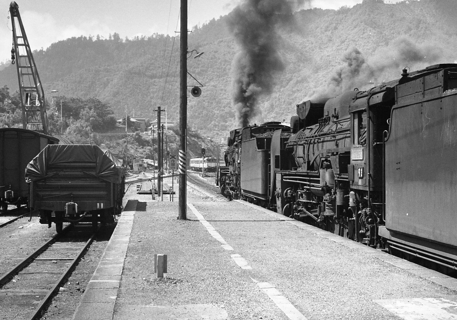 昔、機関区駅で出会った車輌達（77）中央西線 野尻駅 D51776+D51265 : 南風・しまんと・剣山 ちょこっと・・・
