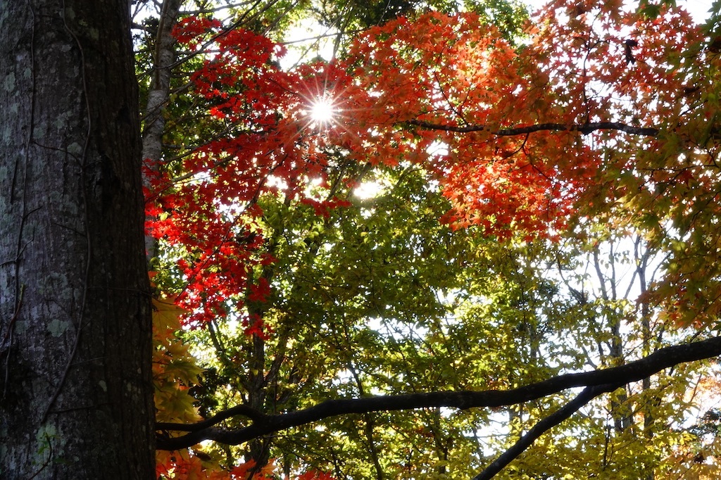 【旋盤】Let's try!ネジ切り物語 （第2話） : だいちゃんガレージ