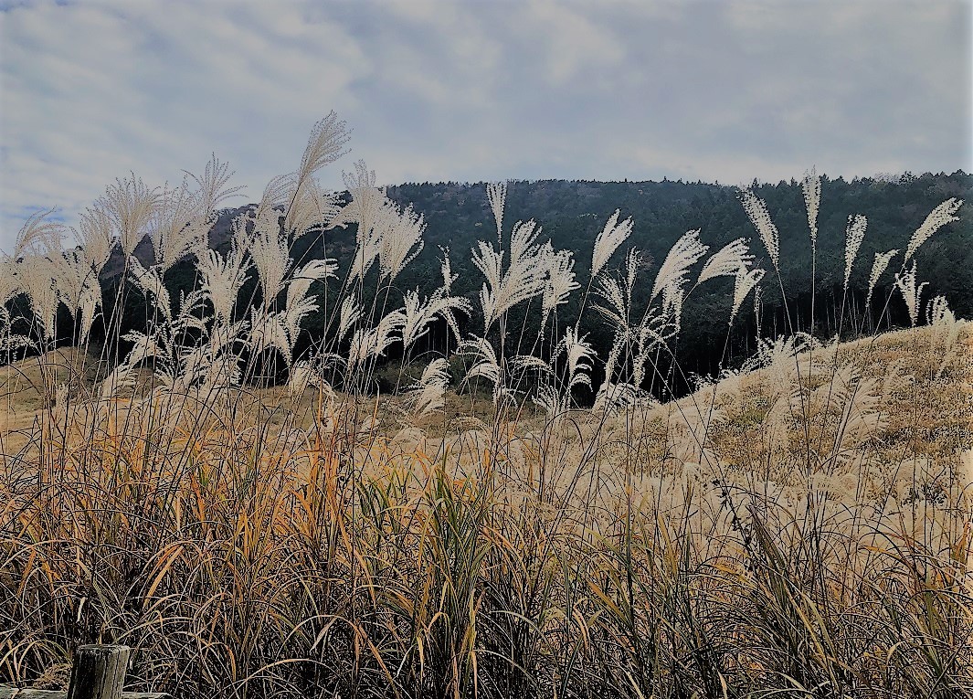 奥湯河原温泉 加満田 宿泊記① : ずっとそばに