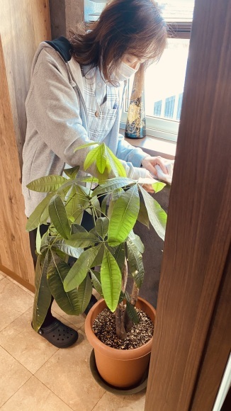 11月17日（火） 本店ブログ♪ ランクル200 4.6AX 4WDあります☆ハマー エスカレード LX570 TOMMY☆ : TOMMY ...