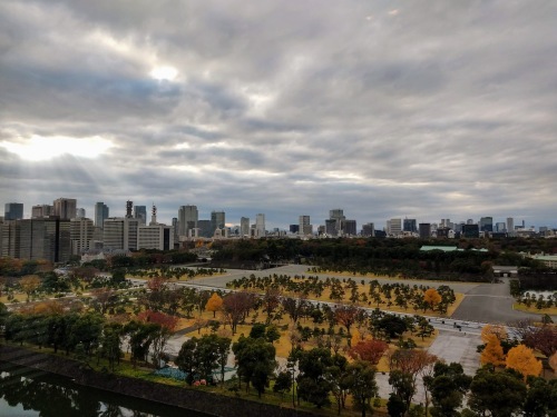 年末になって色々と : いぬのおなら