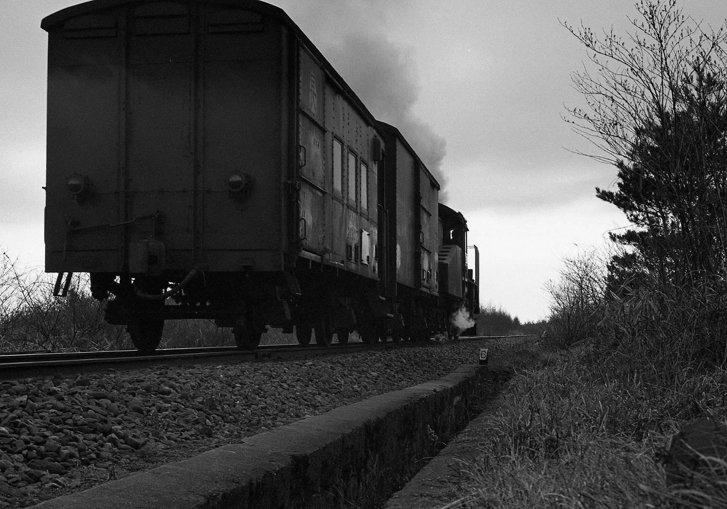 小海線 C56150牽引上り貨物列車（信濃川上駅-野辺山駅間） : 南風・しまんと・剣山 ちょこっと・・・