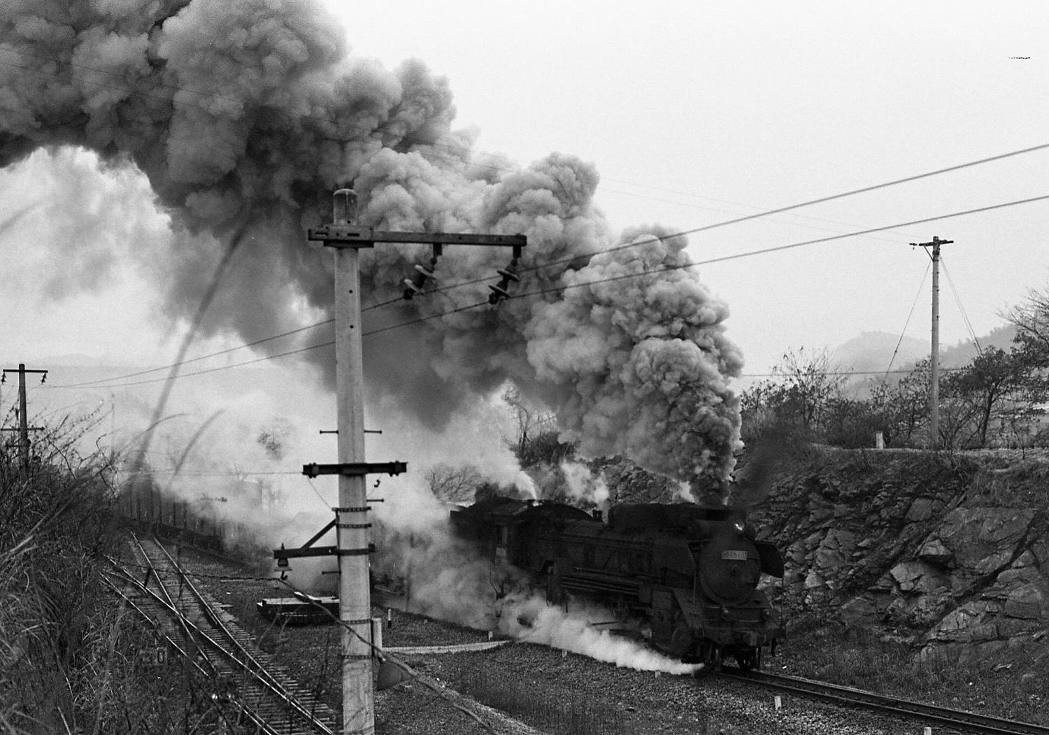 昔、機関区駅で出会った車輌達（108）中央西線 落合川駅 D51 501 : 南風・しまんと・剣山 ちょこっと・・・