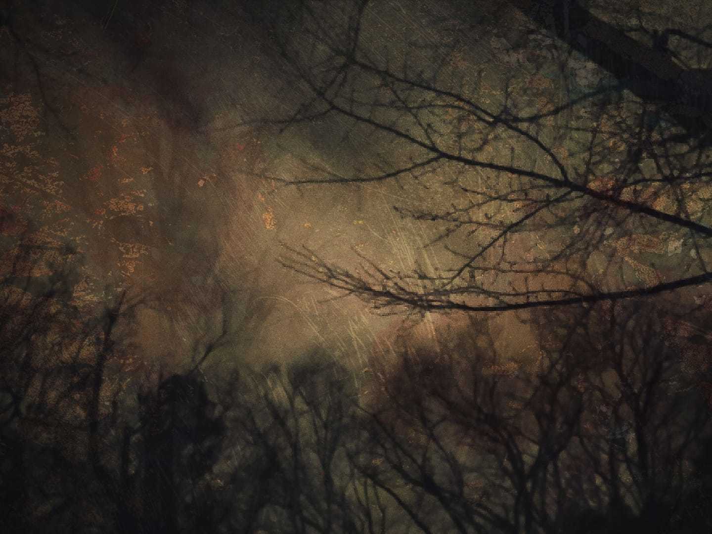 A faint spring : Past Light