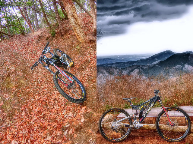 Foes the fly XXI - my home trail XXXXII : www.k-bros.org