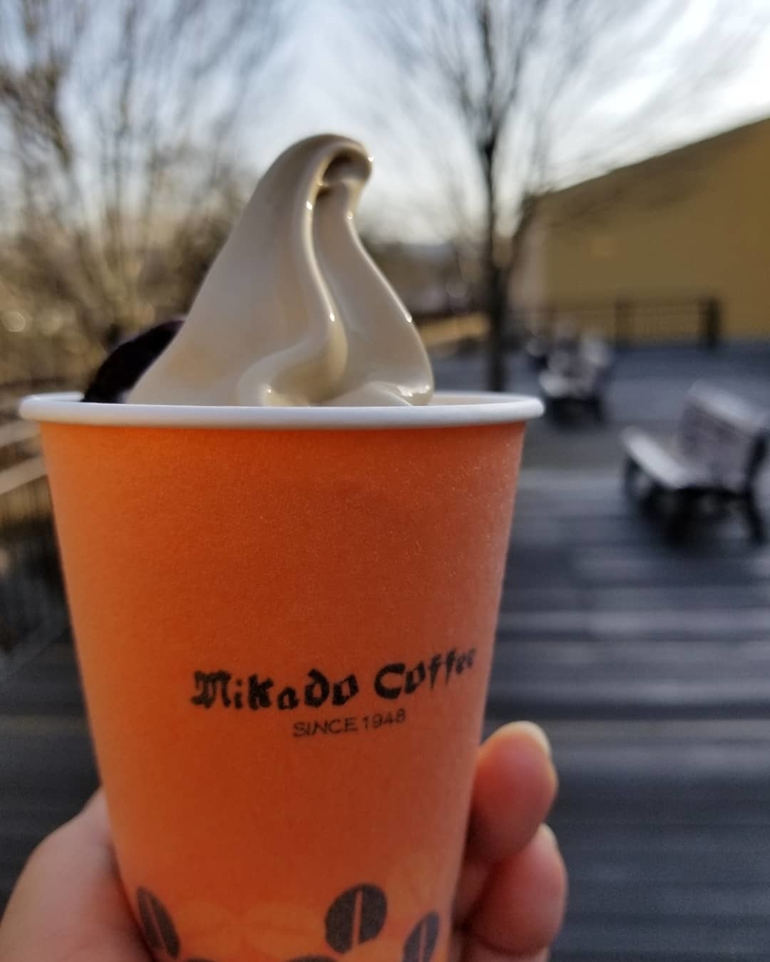 ツルヤオリジナル商品 ＊ 最近のお気に入りと新作「グリーンカレー辛口」♪ : ぴきょログ～軽井沢でぐーたら生活～