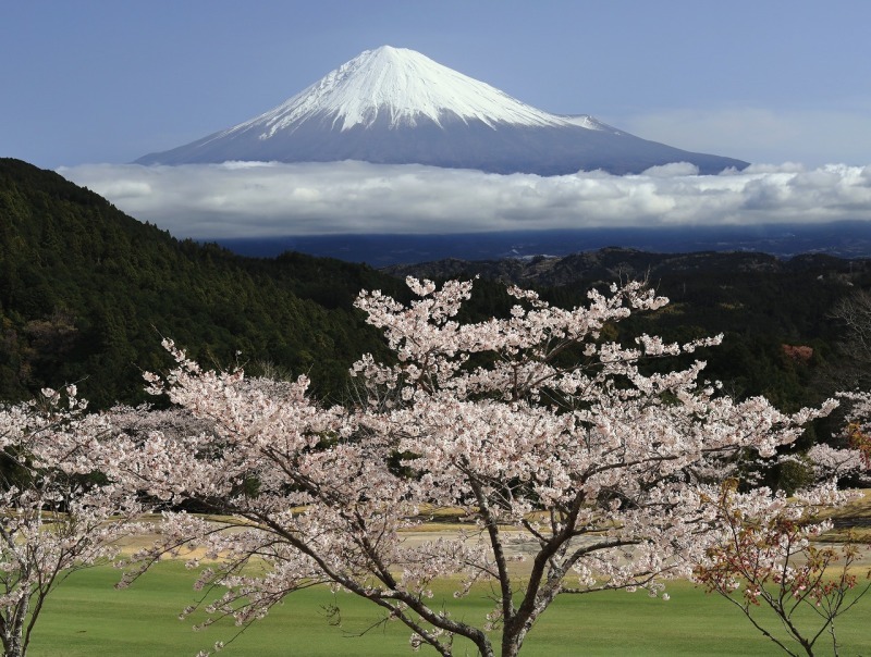 富岳CC～2021年ー⓵ : 富士山大好き～写真は最高！