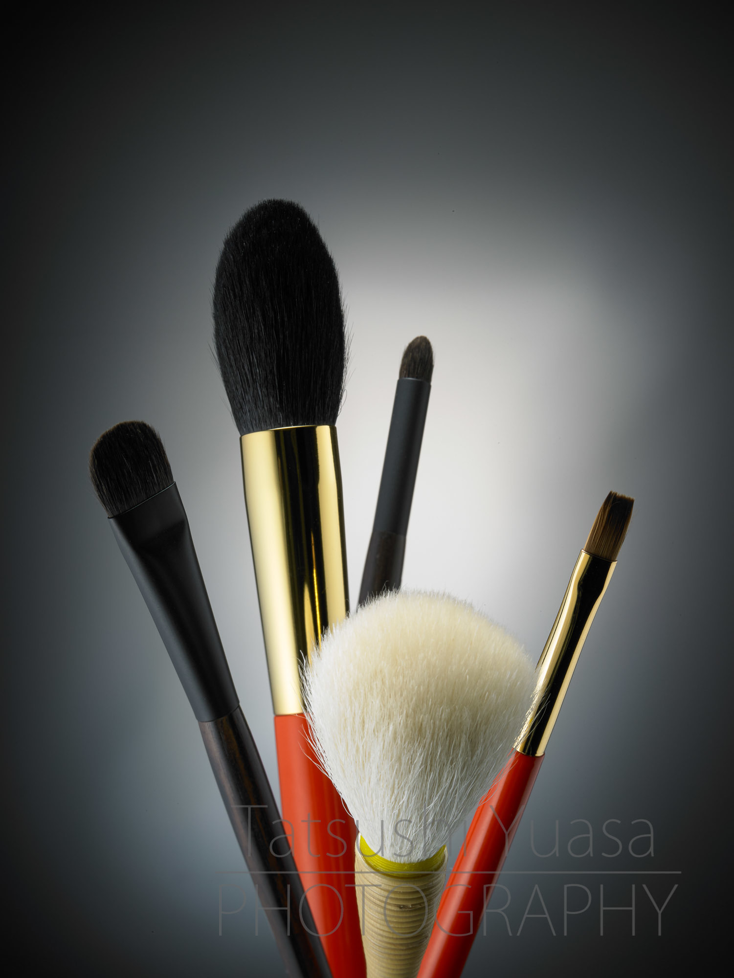 Phase One H25 中判デジタルバック : tats@Blog