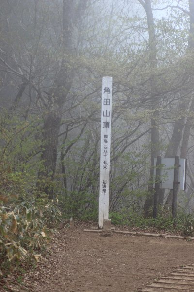 角田山 古墳コース : YAMA好きHANA好き