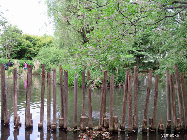 すでにひとり立ちへ、、、 : ふらんす堂編集日記 By YAMAOKA Kimiko