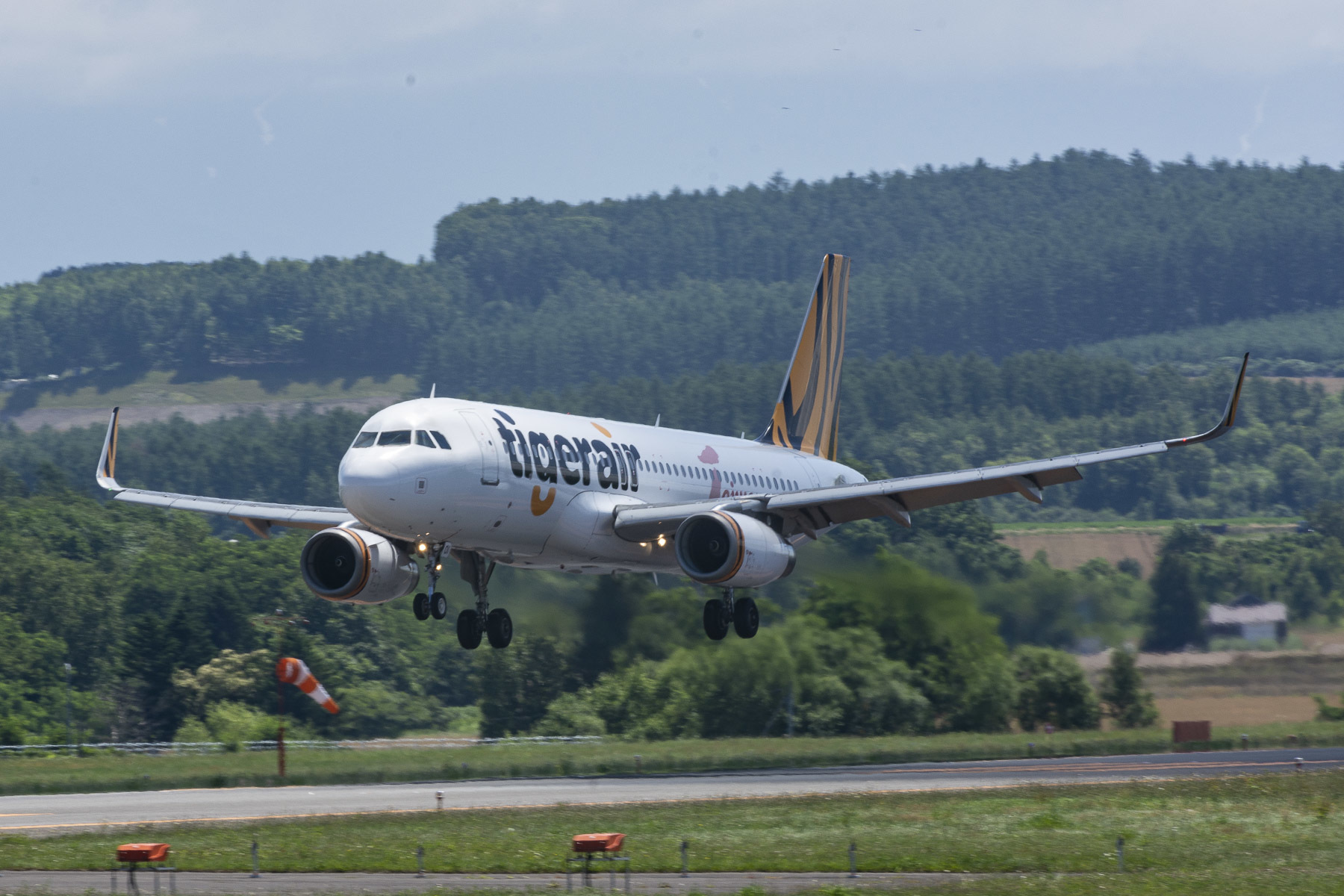 AIRBUS A320 / B-50001 : SKY LOUNGE GARDEN -transporter side-