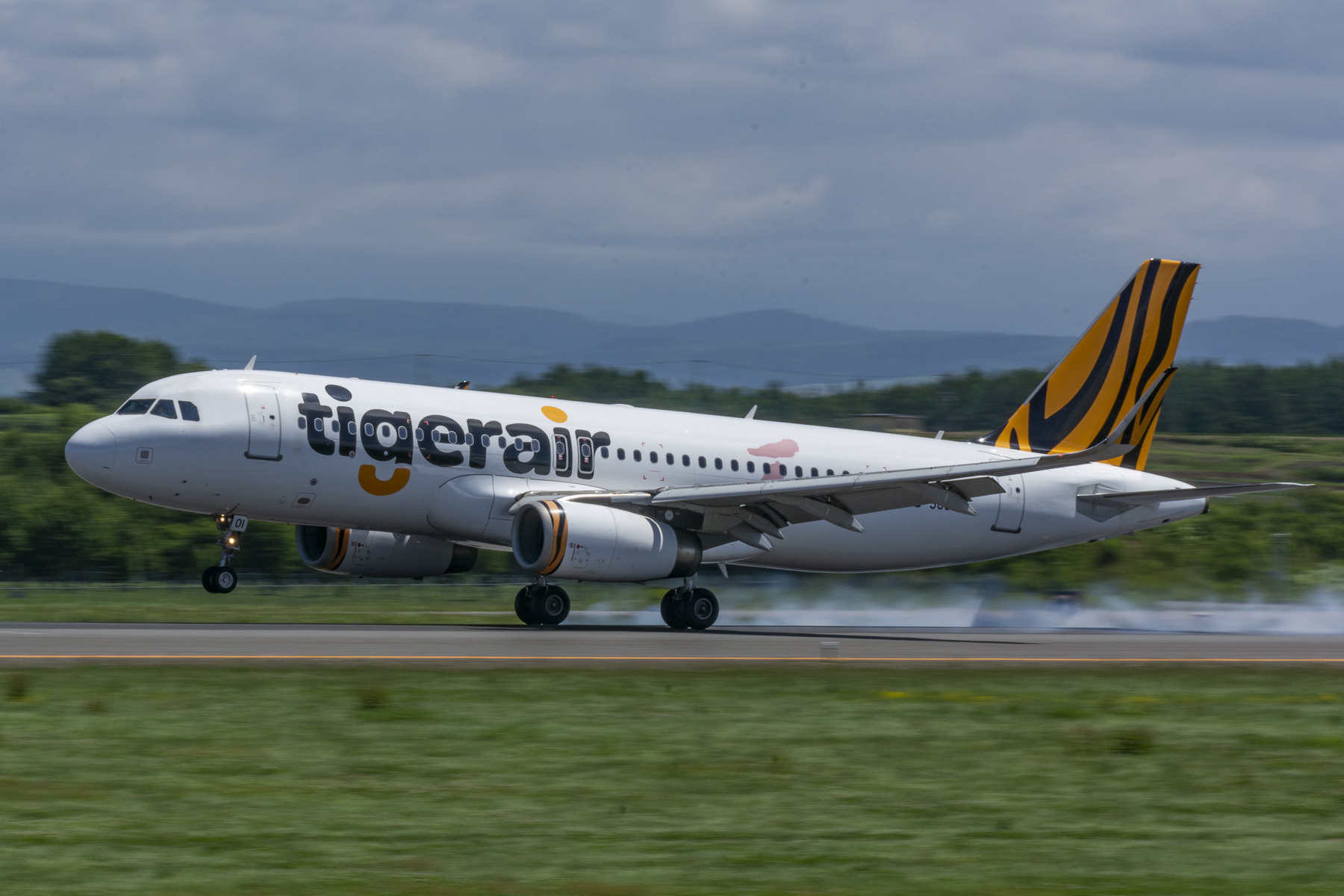 AIRBUS A320 / B-50001 : SKY LOUNGE GARDEN -transporter side-