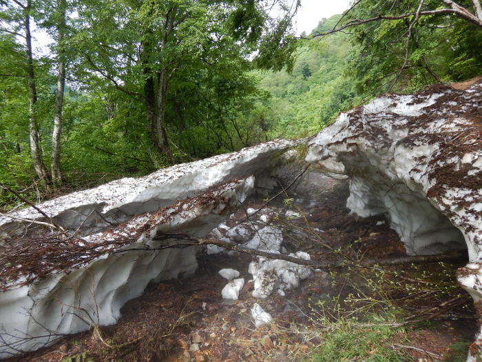 飯豊・石転び沢 ～ 2021年6月5日 : ソロで生きる