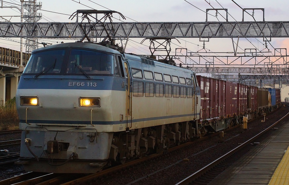 名古屋周辺貨物撮影(2021,4)11～EF66-113～ : 適鉄～5th～