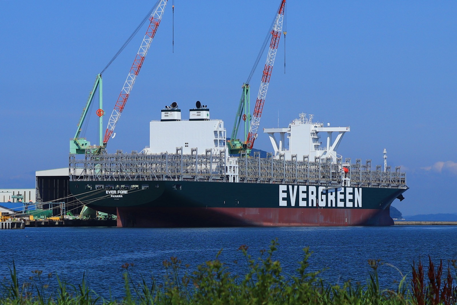 "EVER FORE" : 造船・船舶の画像2