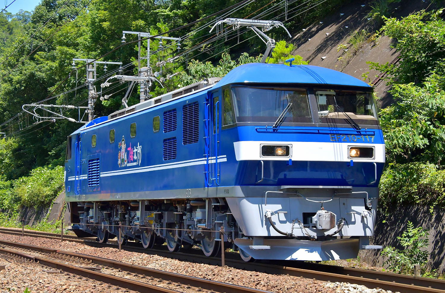 EF210-117 : 団塊鉄ちゃん気紛れ撮影記