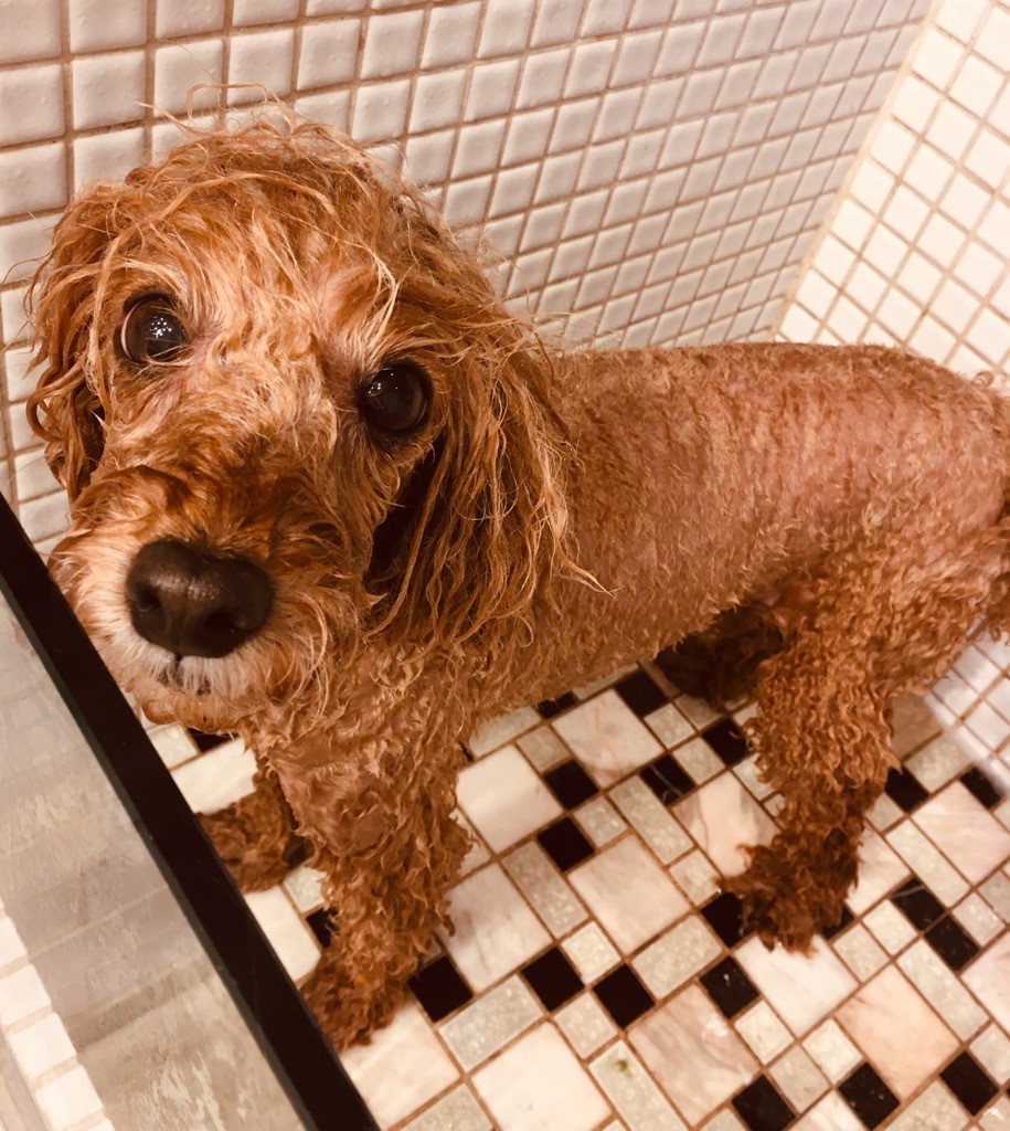 Trimming Friends ☆ : +MILIEU+ diary☆