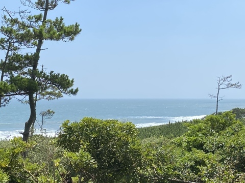 鉾田へ＠月カフェ＠四季の月 : ちいさな幸せのある毎日