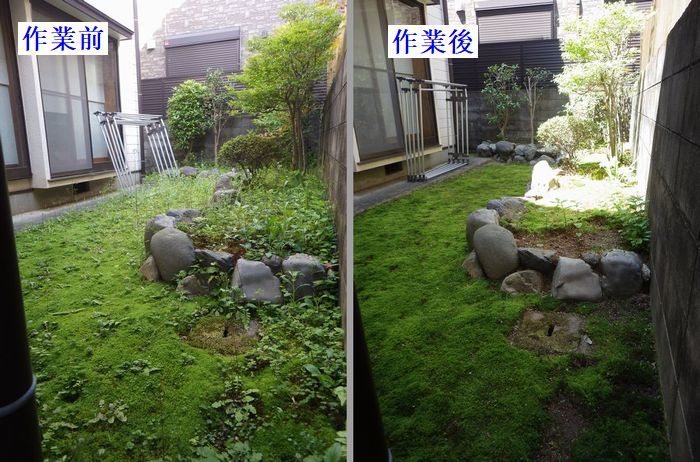 手引き除草作業 : 京都市庭木剪定 ～ 庭 佳niwaka ～ 庭木1本からの植木屋