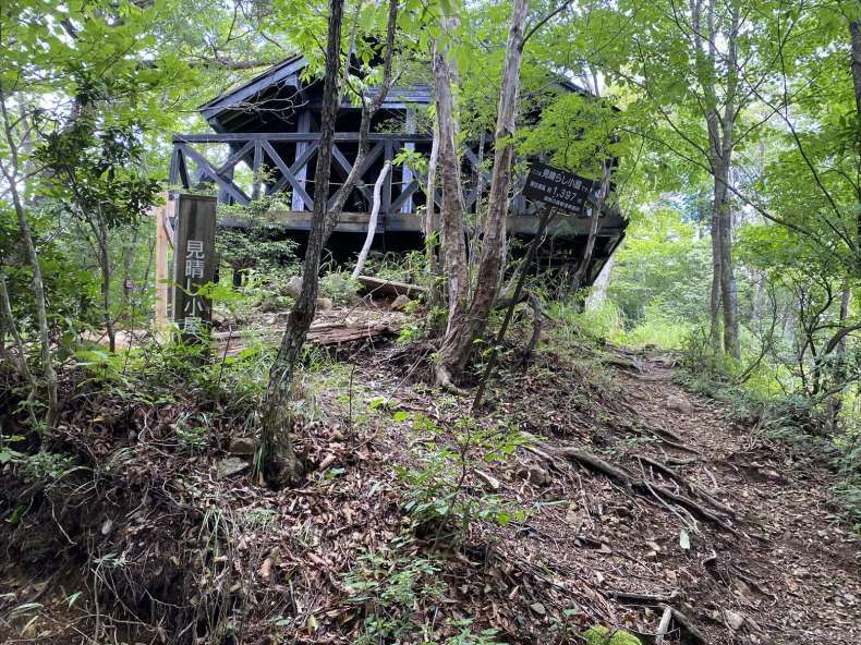 三頭山 : 野の花山の花ウォッチング in 近所の山々