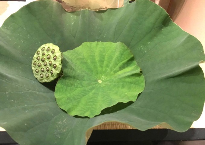 8月31日 野菜の日 ・「渓澗拾流菜」 : 煎茶道方円流～東京東支部～