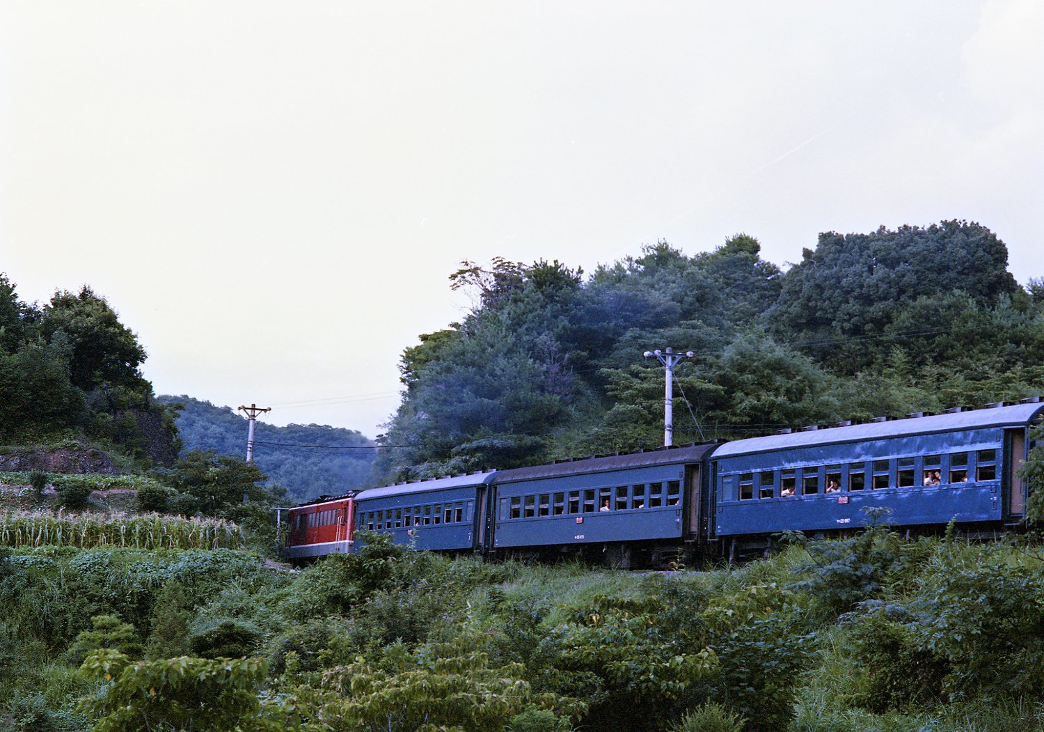 土讃線 上り客車列車（新改駅←土佐山田駅間）DF50 : 南風・しまんと・剣山 ちょこっと・・・