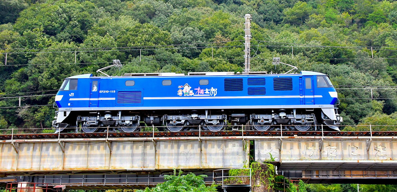 EF210-115全検出場 : 団塊鉄ちゃん気紛れ撮影記