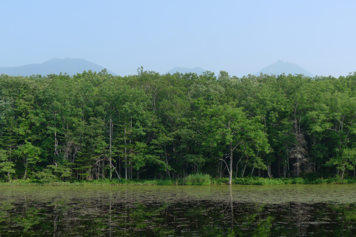知床 2021-7 : パウダーブルーな日々
