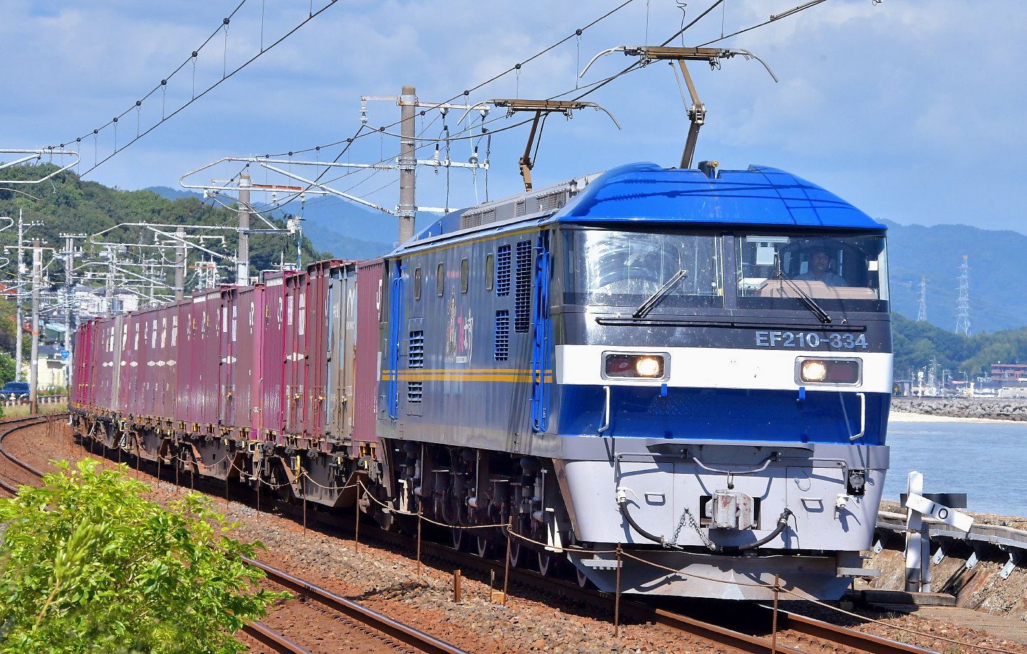 EF210-300番台 : 団塊鉄ちゃん気紛れ撮影記