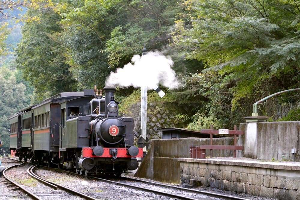 SLオーバーホール基金返礼イベント 9号機関車の撮影列車運転 : 明治村が大好きな、とある村民のブログ