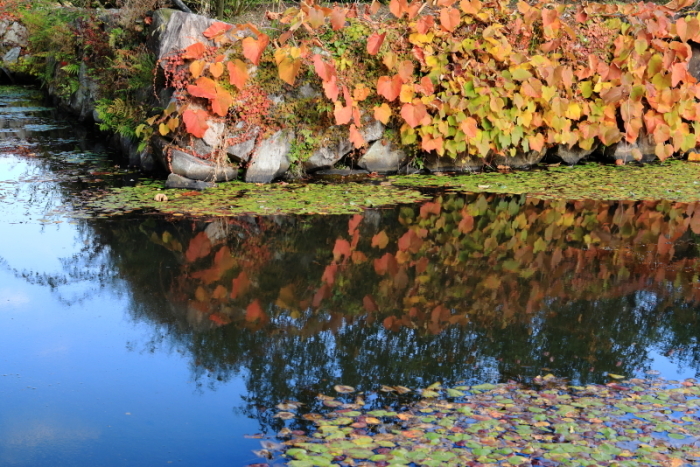 軽井沢レイクガーデン・・・1 : 四季折々