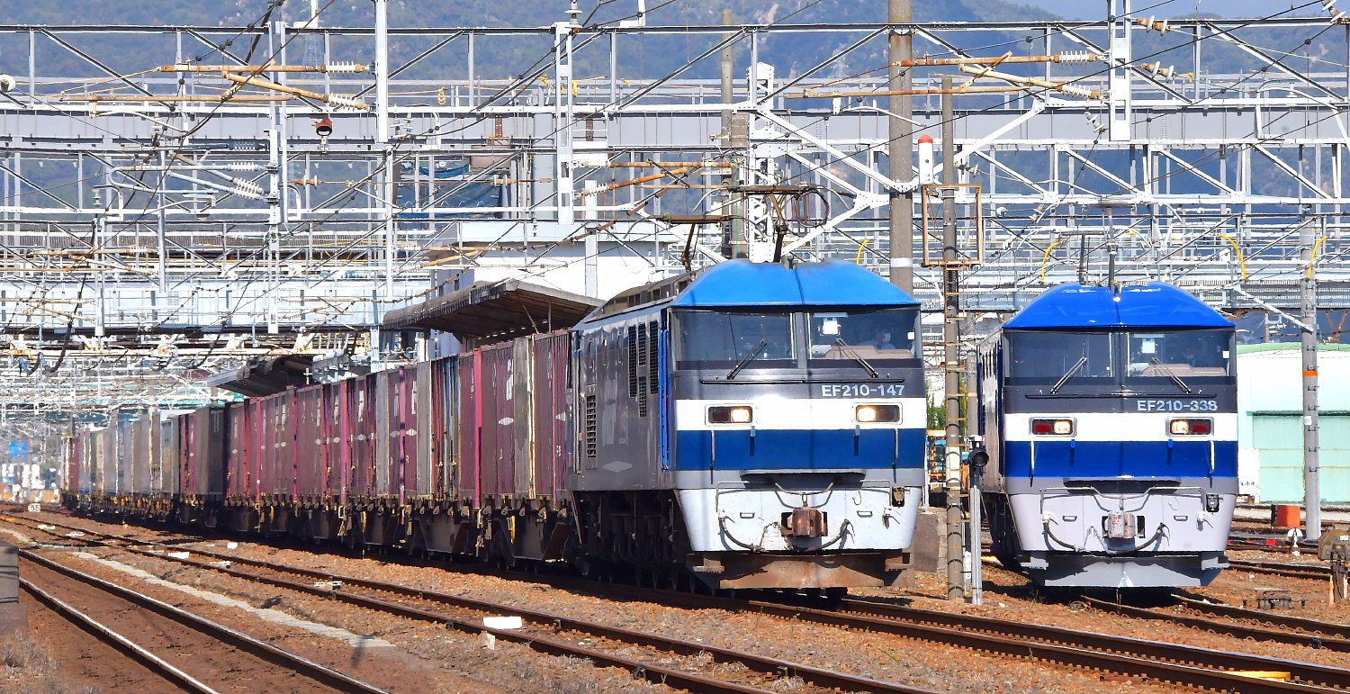 EF210-338 : 団塊鉄ちゃん気紛れ撮影記