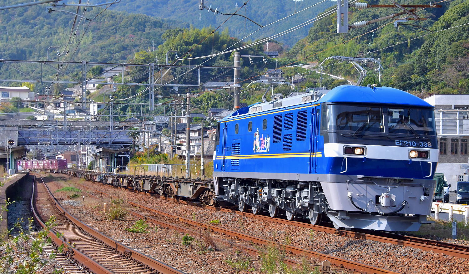 EF210-338 : 団塊鉄ちゃん気紛れ撮影記