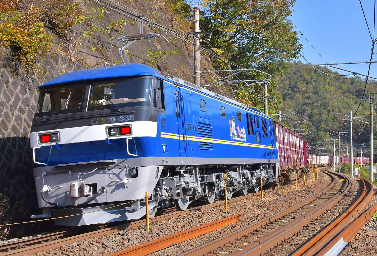 EF210-338 : 団塊鉄ちゃん気紛れ撮影記