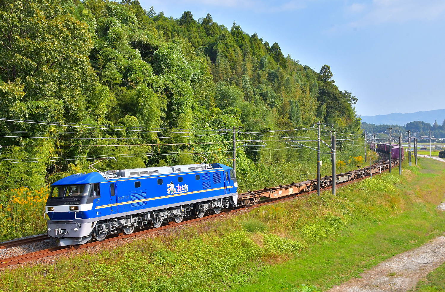 EF210-337 : 団塊鉄ちゃん気紛れ撮影記