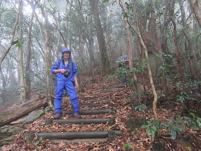 ヘツカリンドウ、ヤッコソウ、ヘツカランなど、6日。 : リンドウの徒然日記Ⅱ