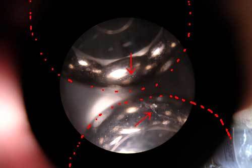 The way of the chari 06 シマノ FH-4600 酷使ハブ鋼球 : 少年カメラ