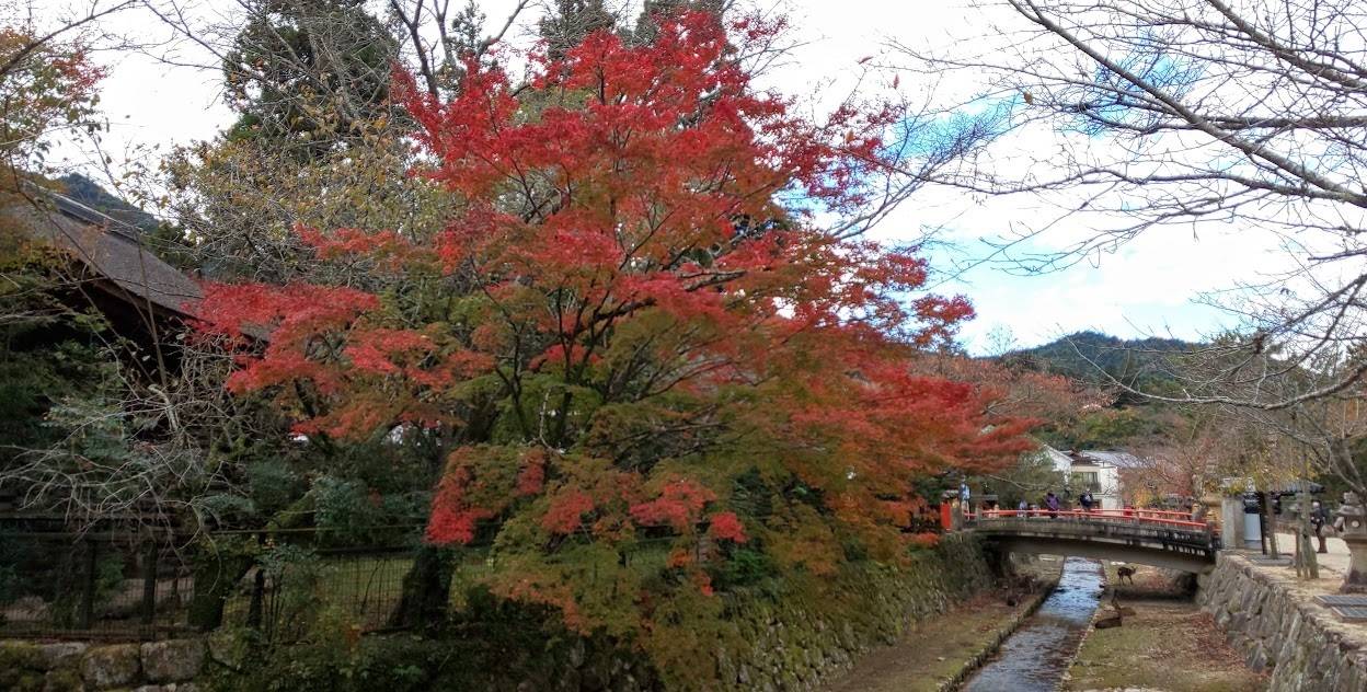 初めての広島へ＠宮島の厳島神社～紅葉谷へ♪ : 福岡主婦の旅。食。生活。