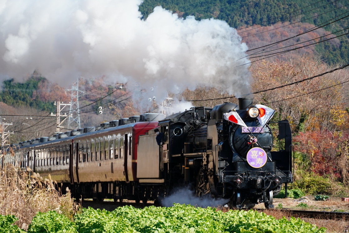 秩父鉄道「SL C58 363 喜寿号」と秩父の紅葉 : NOBUさん☆の鉄旅ブログ