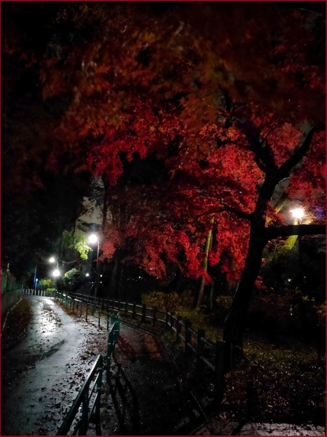 Red conclusion : Past Light