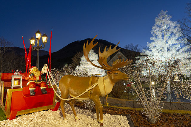 箱根ガラスの森美術館クリスタル・イルミネーション : エーデルワイスブログ