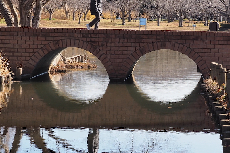 公園にて : summicron