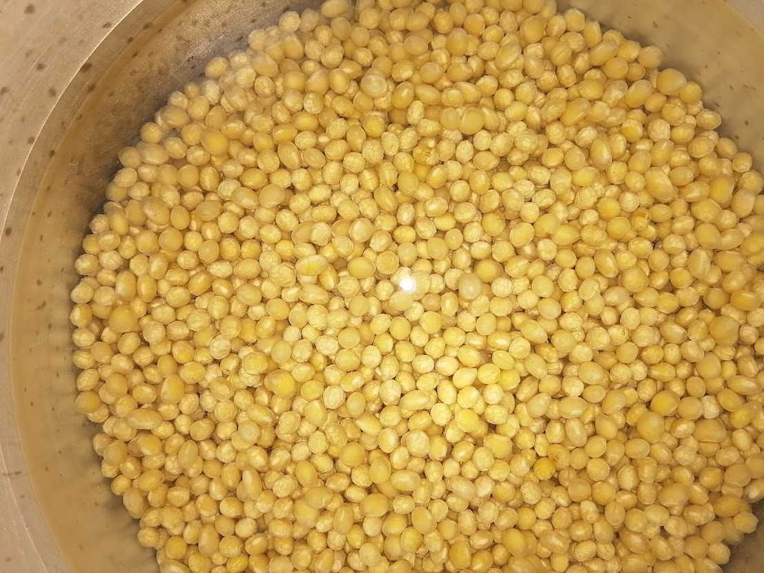 寒仕込み手前味噌 : あるちゅはいま日記