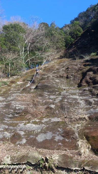 俺の家の話（がんたれ息子編） : The blog of meraki