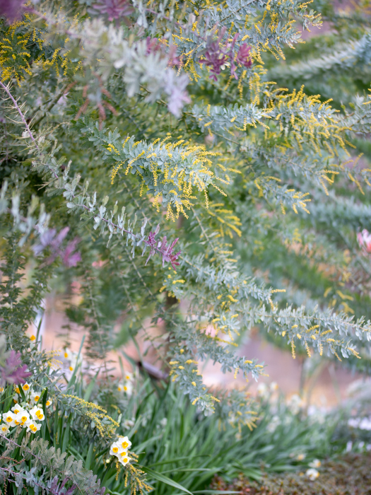 【西方寺】 : うろ子とカメラ。Ⅱ